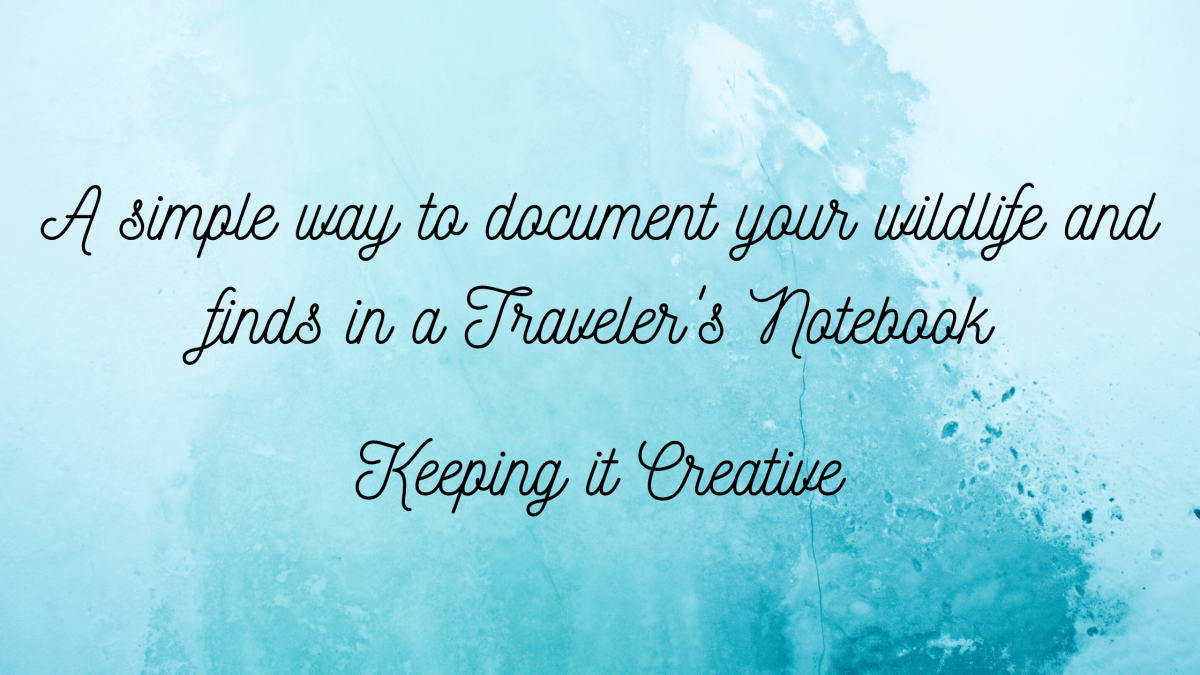 How I document my wildlife and nature finds in my Traveler’s Notebook ...