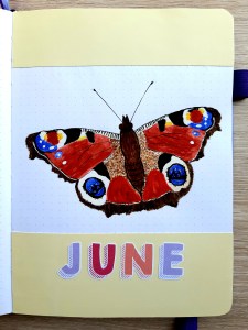 Setting up my Bullet Journal for June: Butterflies theme – Keeping it ...